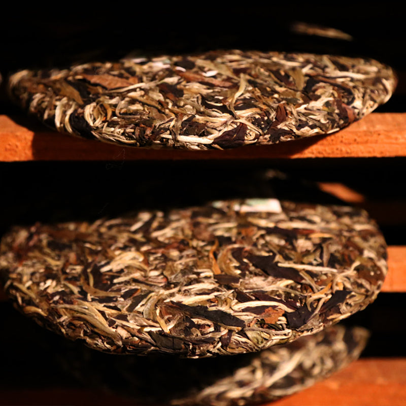 Introducing The Tea Bank– Wild Tea Qi Official Website
